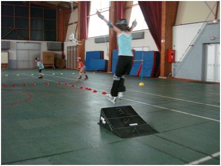 Kong Obstacles Course Roller - Syndicat Intercommunal de Cesson et Vert ...
